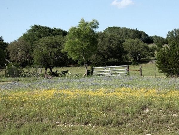 Hill Country Ranches | A Ranch Enterprises Company | Ranches for sale ...